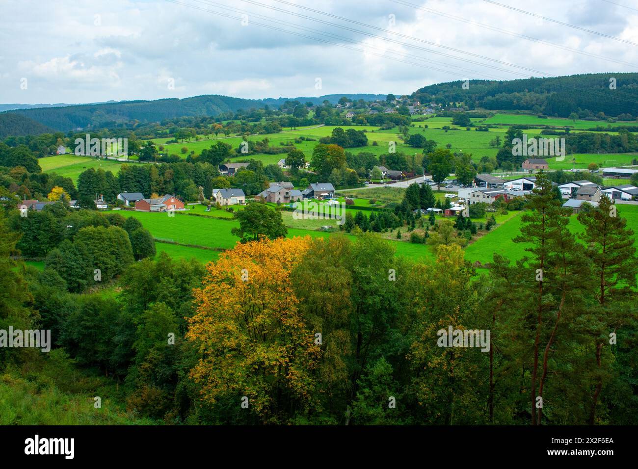 Ardennes forest hi-res stock photography and images - Alamy