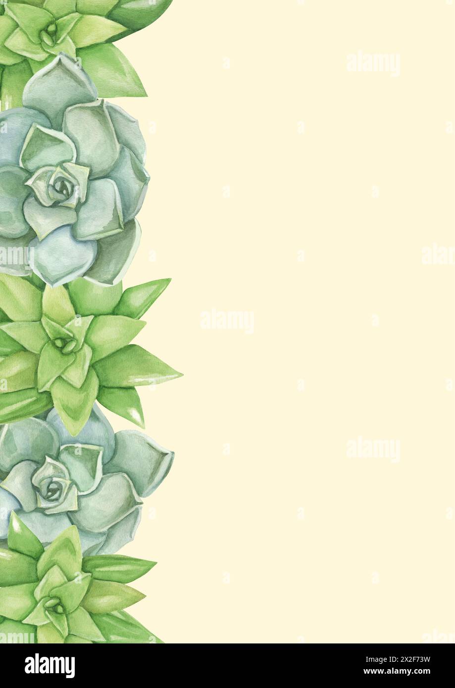 The background is yellow and a border of succulent Stock Photo - Alamy