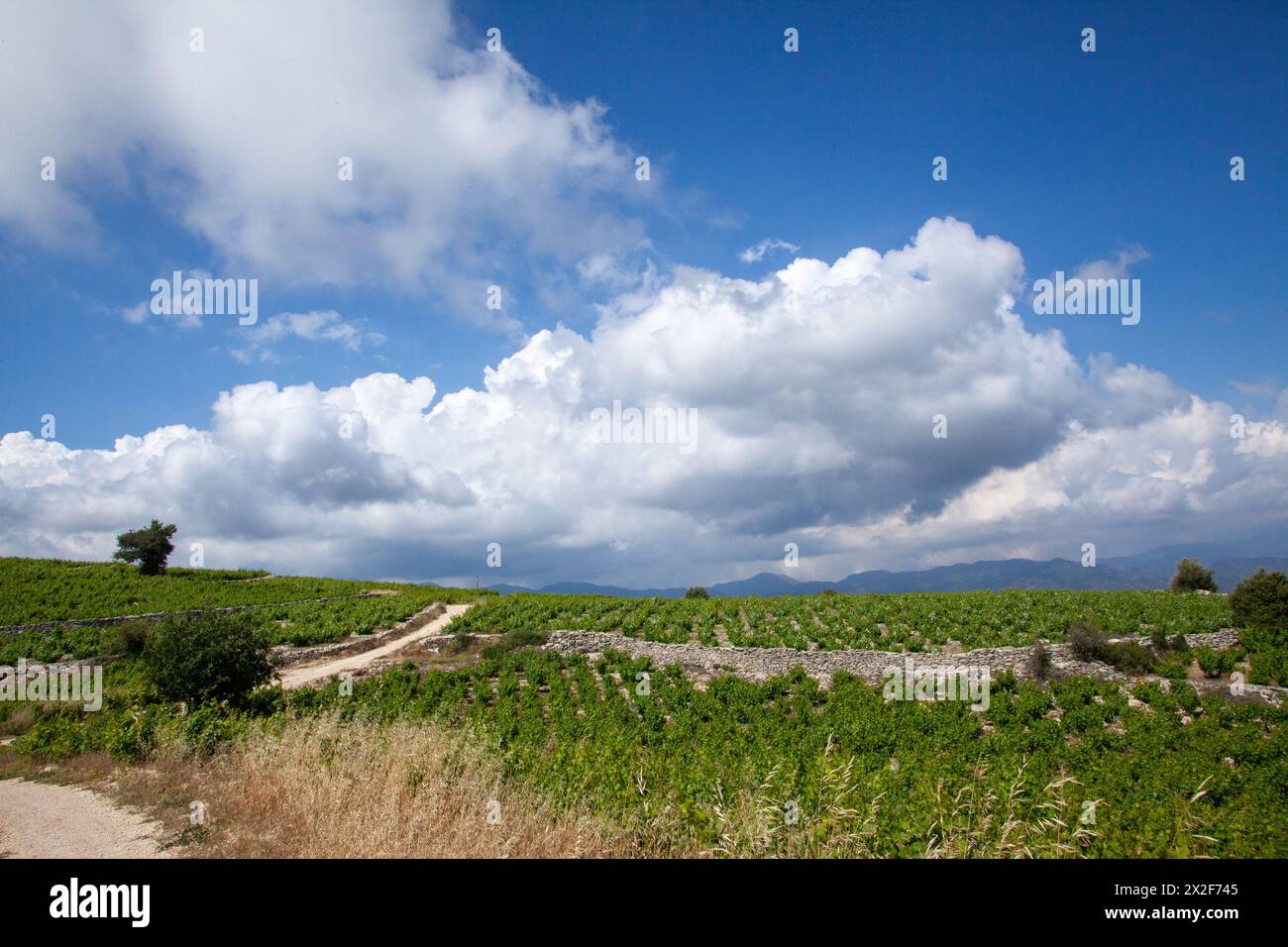 Rustic farming cyprus hi-res stock photography and images - Alamy