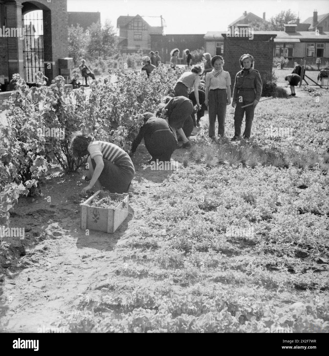 Female detainees work in the garden of the camp for German political ...