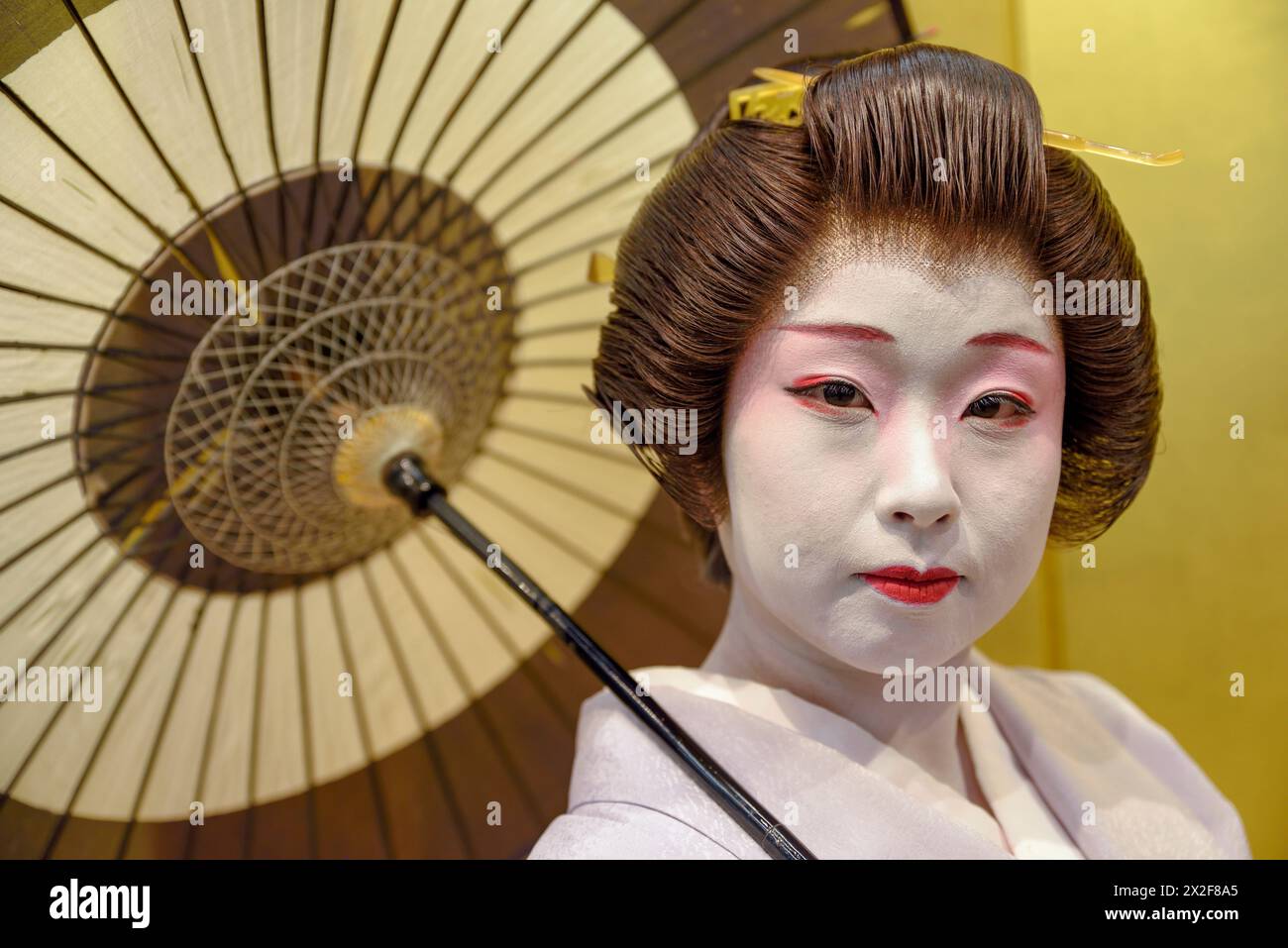 geography / travel, Japan, Kanto, Tokyo, geisha in traditional suit ...