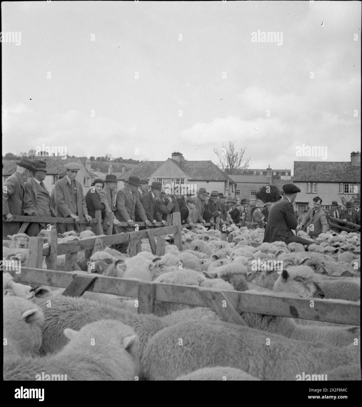 Bampton devon village hi-res stock photography and images - Alamy