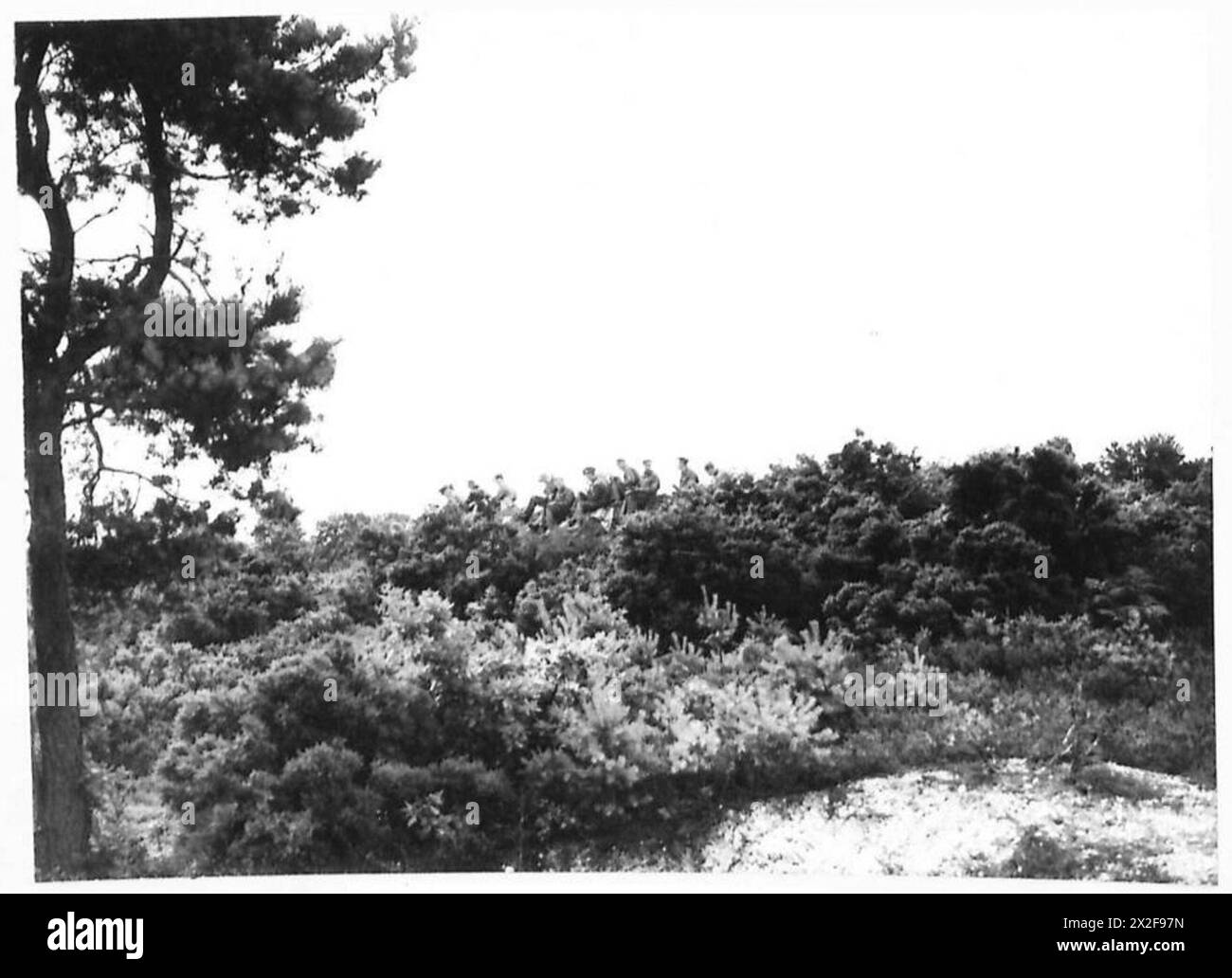 SCOUTS VERSUS SNIPERS - Sketching lessons for Scouts. Field sketching ...