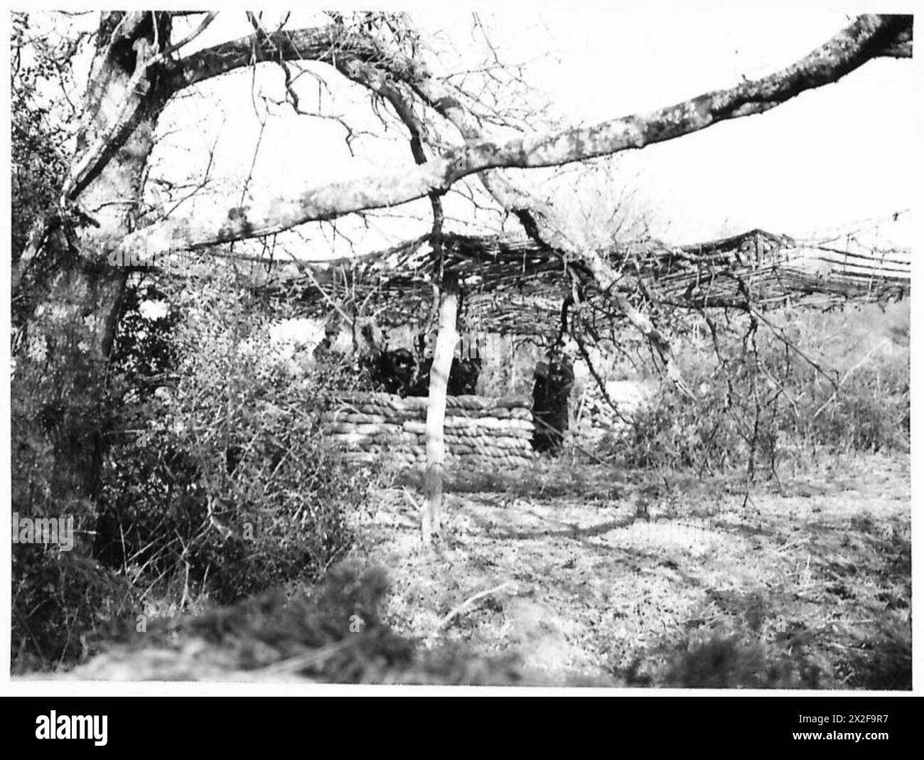 The Southern Command and 5th Corps of the British Army conducted a ...