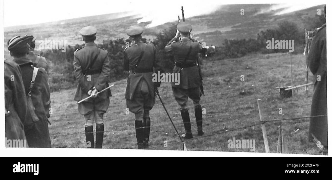 The Commander-in-Chief and other officers observed a military ...