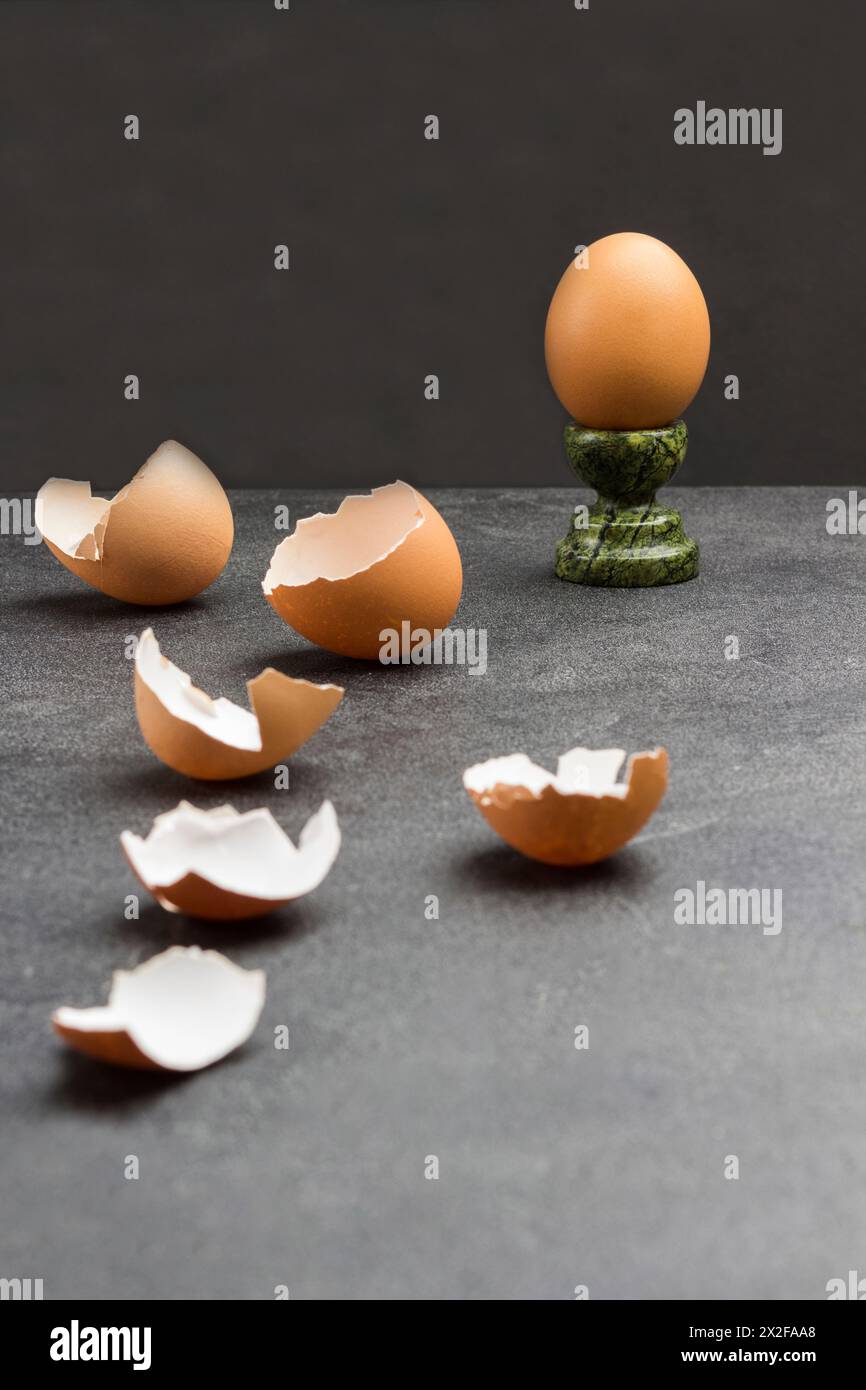 Brown egg on egg stand. Eggshells on table. Copy space. Black ...