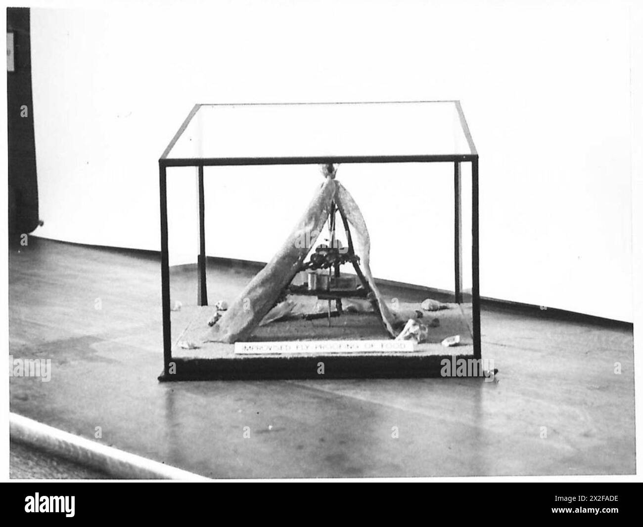 THE ARMY SCHOOL OF HYGIENE - Improvised fly proofing of food (model ...