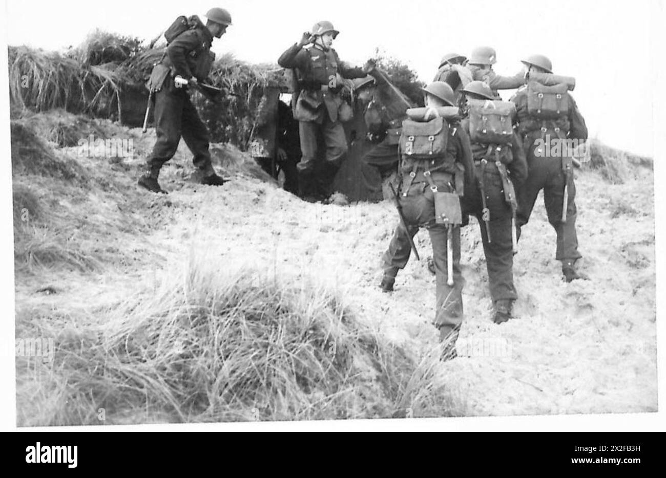 GRENADIER GUARDS REALISTIC TRAINING - A patrol of Guardsmen capture two ...