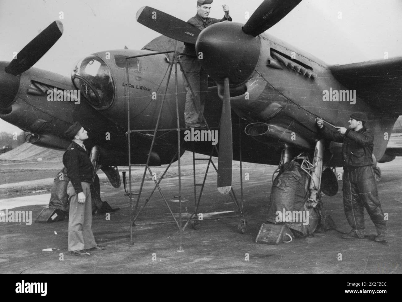 Leon gray hi-res stock photography and images - Alamy