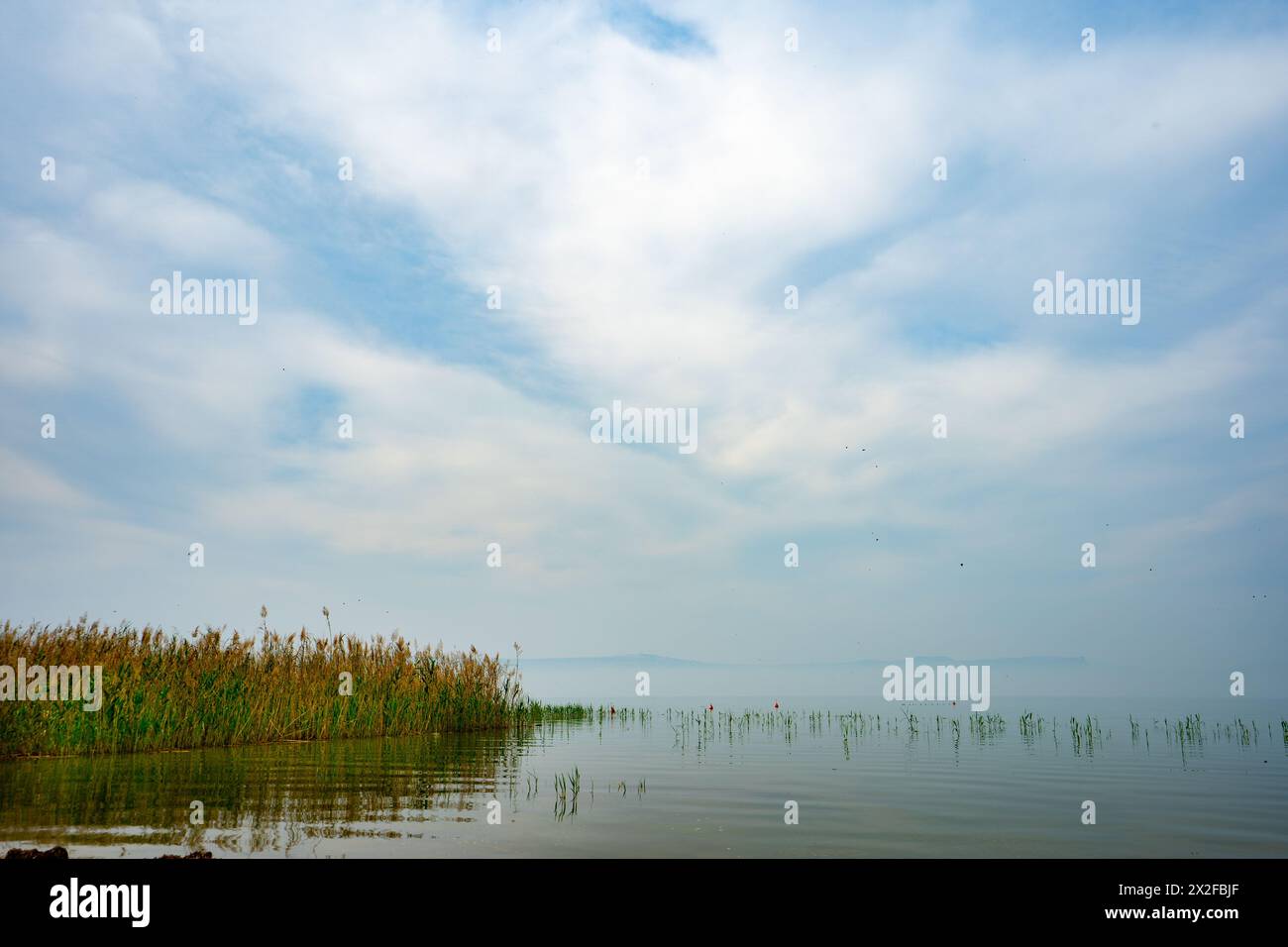 At water's edge on the shore of the Sea of Galilee, [Lake Kineret or ...