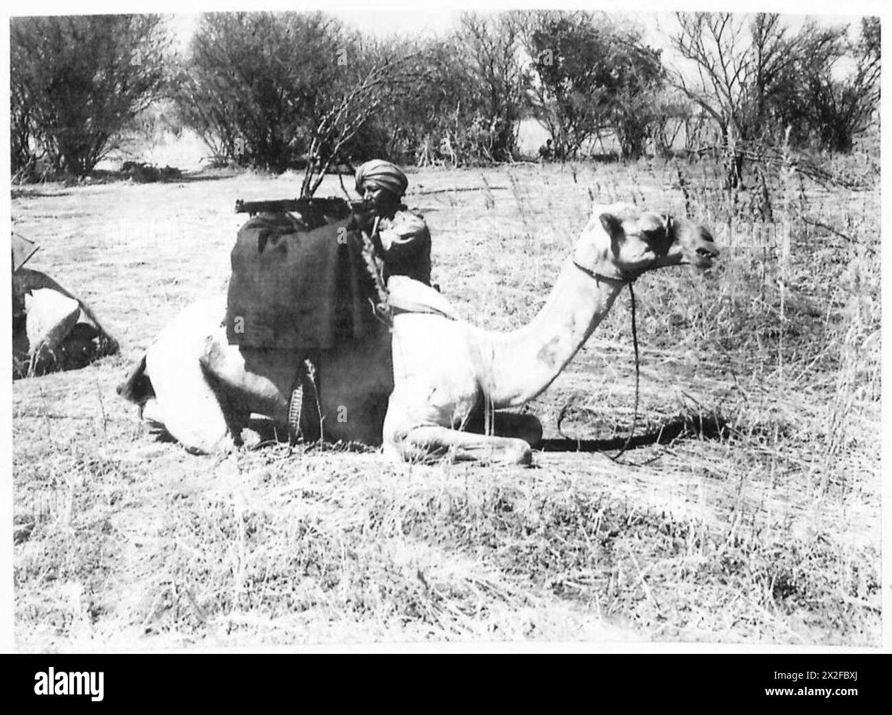 A camel patrol of the Sudan Defence Force, attached to an Indian ...