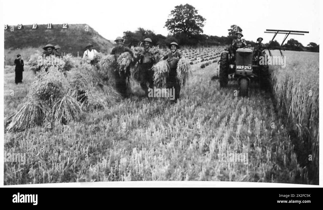 Back british farming labour hi-res stock photography and images - Alamy