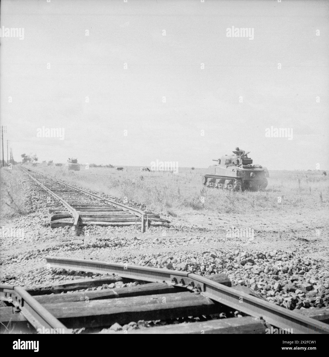 THE BRITISH ARMY IN NORMANDY 1944 - Sherman tanks of the East Riding ...