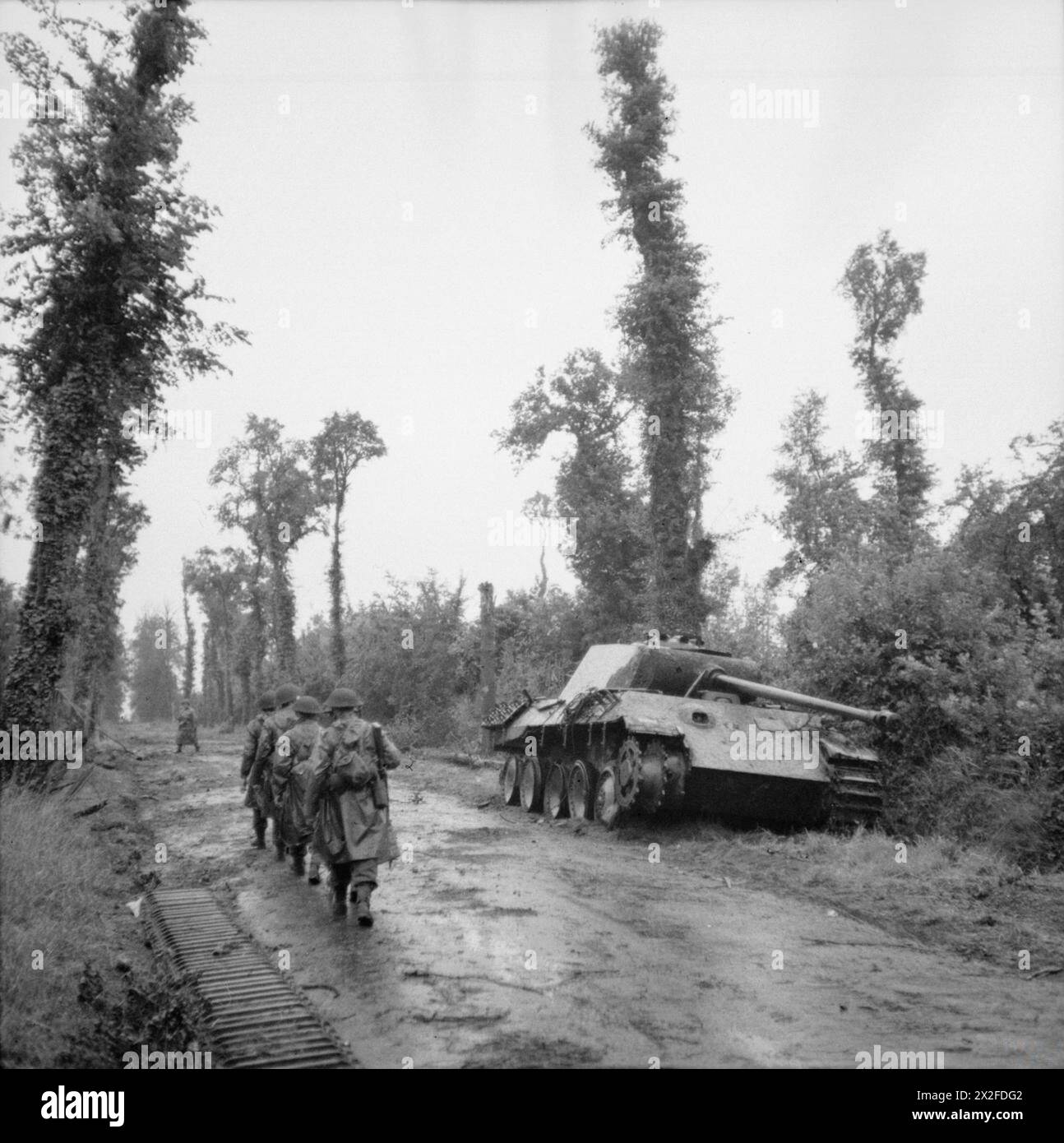 THE BRITISH ARMY IN NORMANDY 1944 - Infantry of 2nd Battalion, Essex ...