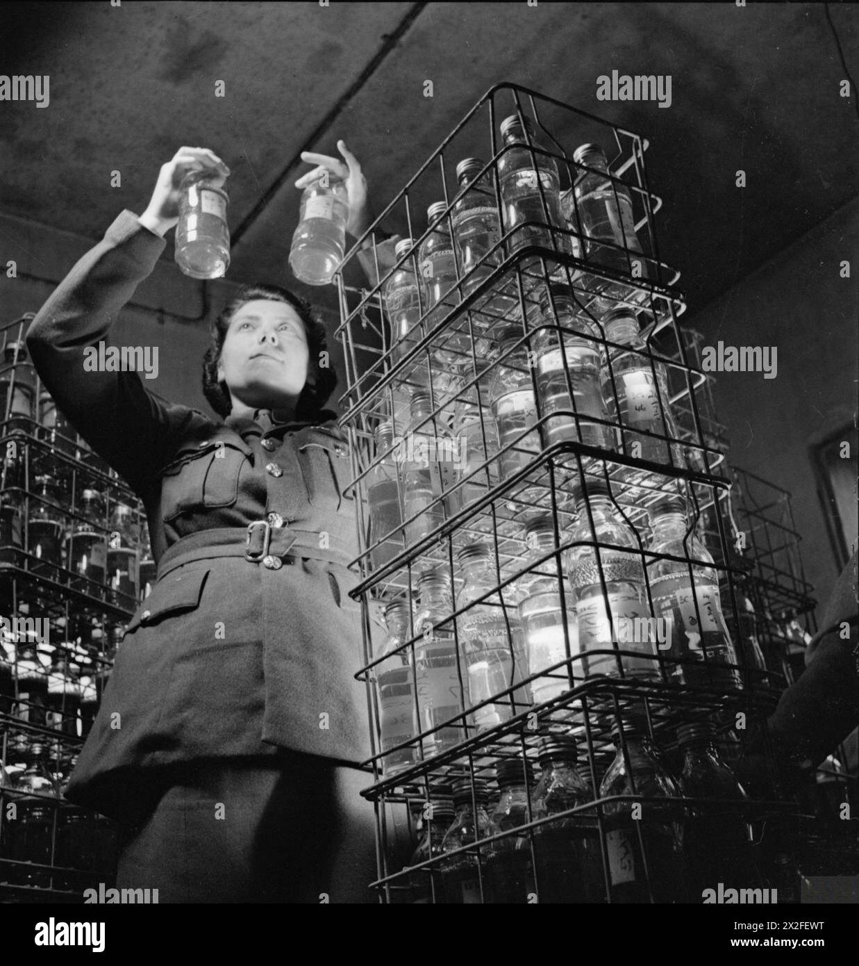 BRITISH MEDICAL SERVICES IN THE SECOND WORLD WAR - Army Blood ...