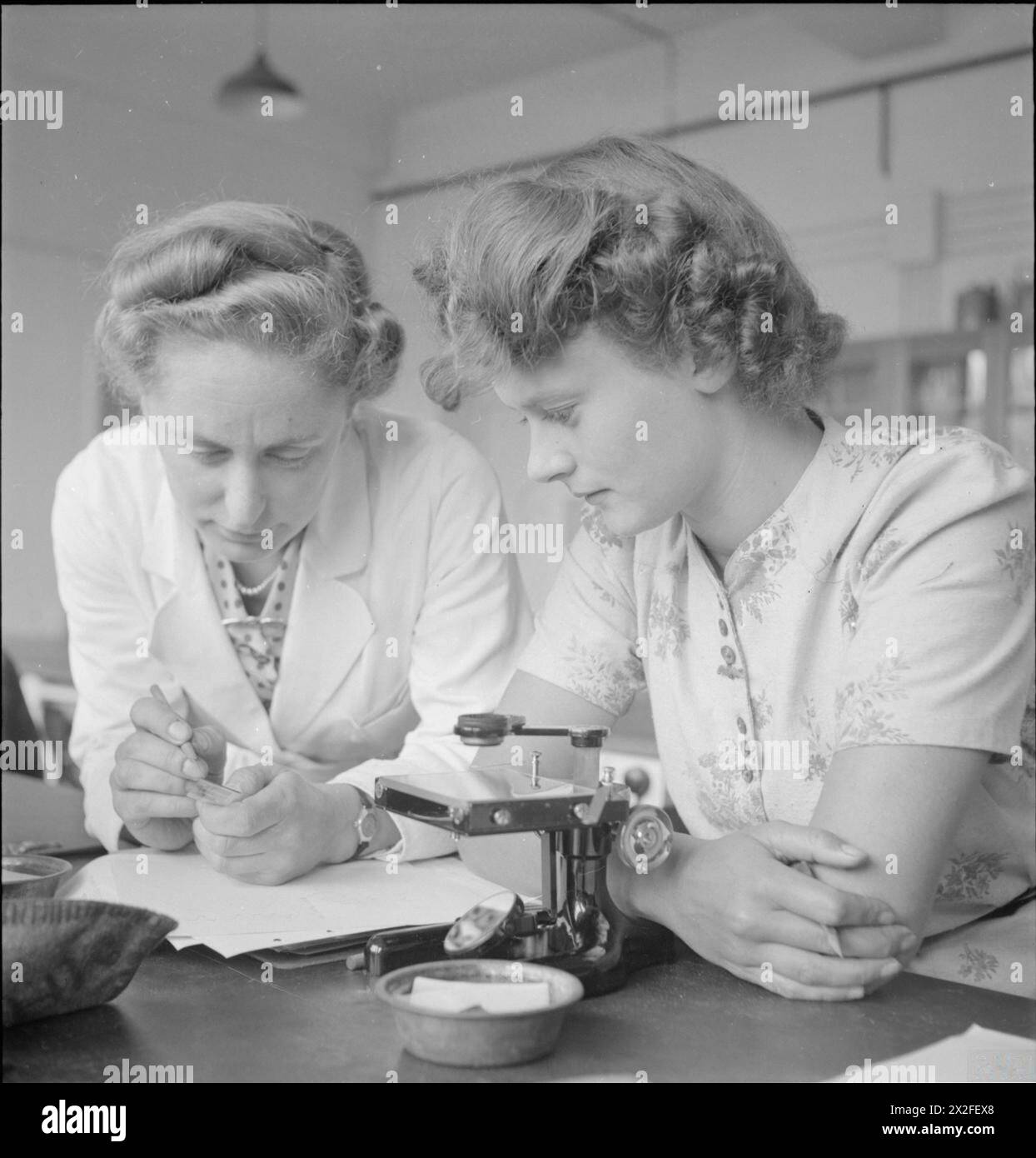 Dissecting microscope hi-res stock photography and images - Alamy