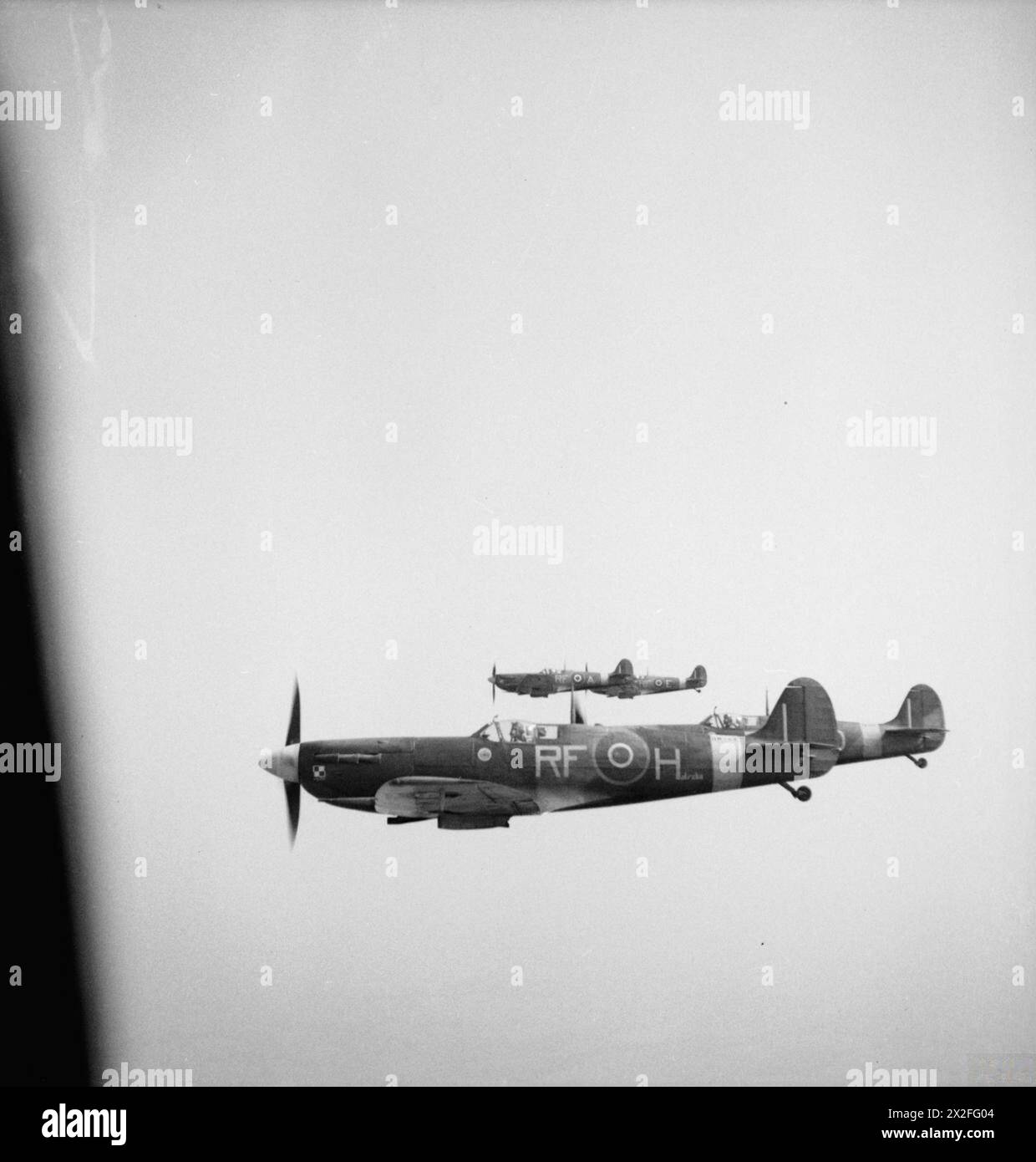 Supermarine Spitfire V BM144 'Halszka', likely flown by Squadron Leader ...