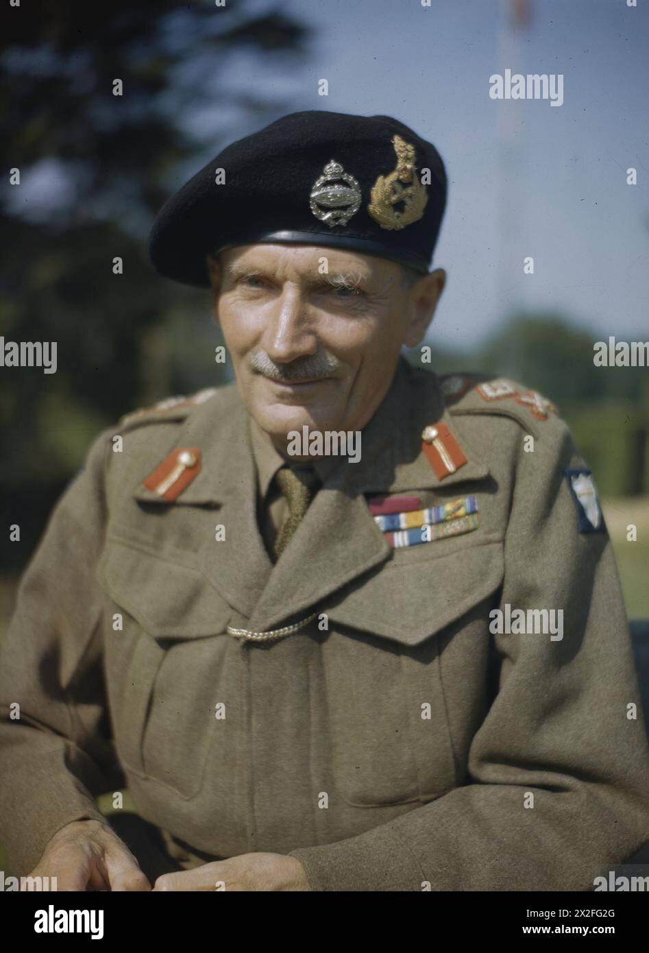 Half-length portrait of General Sir Bernard Montgomery, Commander of ...