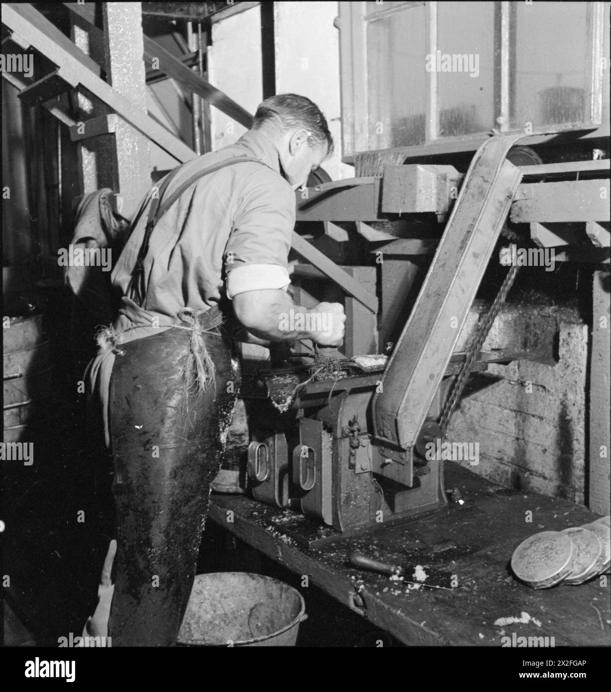 At a British sugar beet factory in 1942, a worker prepares samples from ...