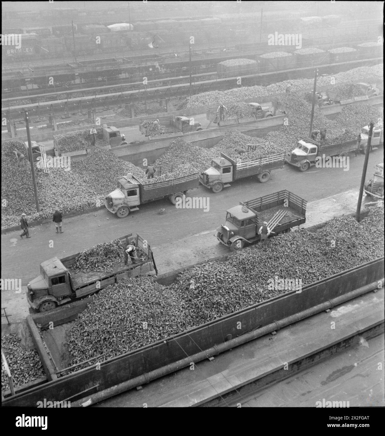 PRODUCING YOUR SUGAR: THE GROWING AND PROCESSING OF SUGAR BEET, BRITAIN ...