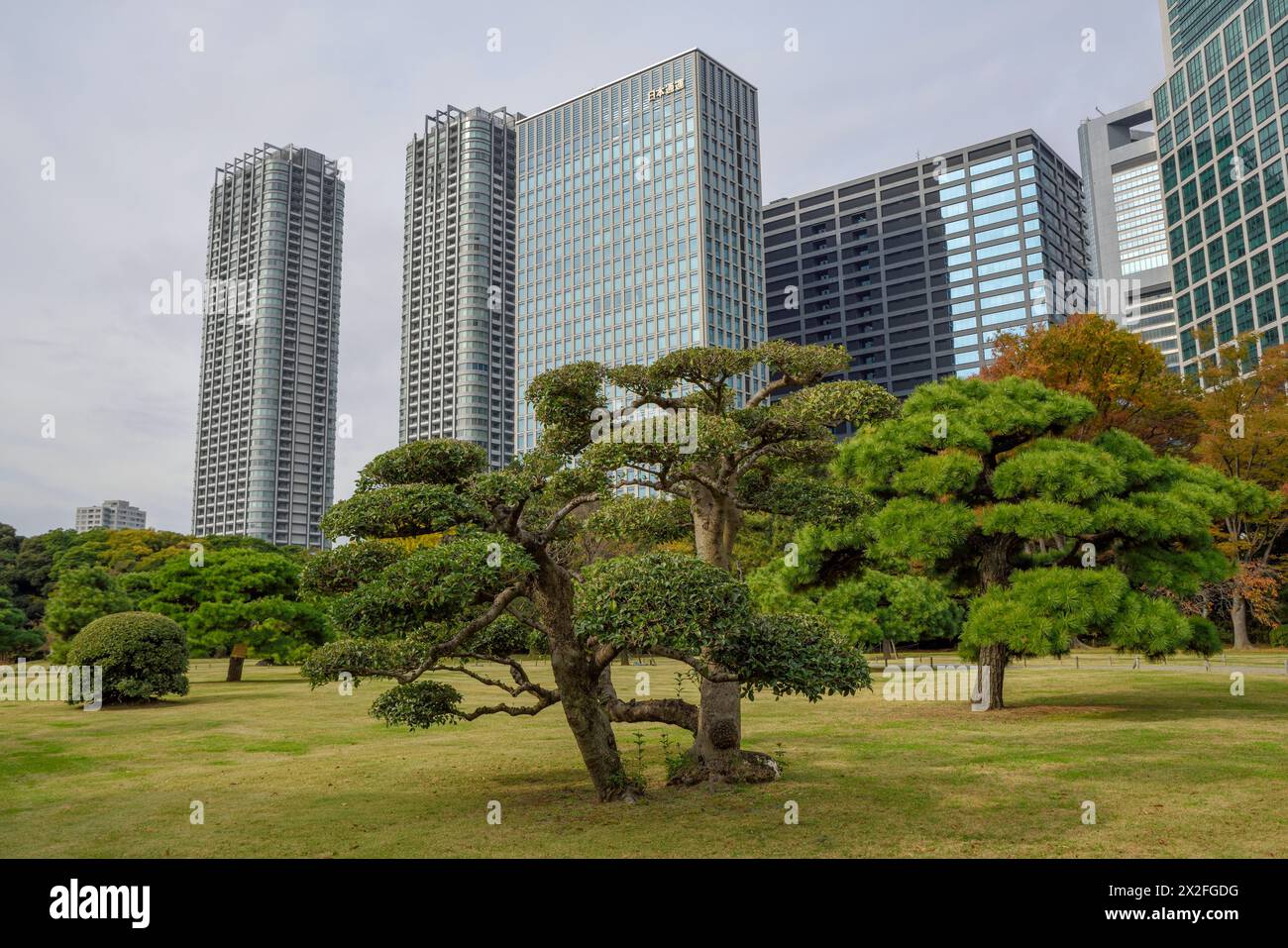 geography / travel, Japan, Kanto, Tokyo, Hamarikyu Park, Imperial ...
