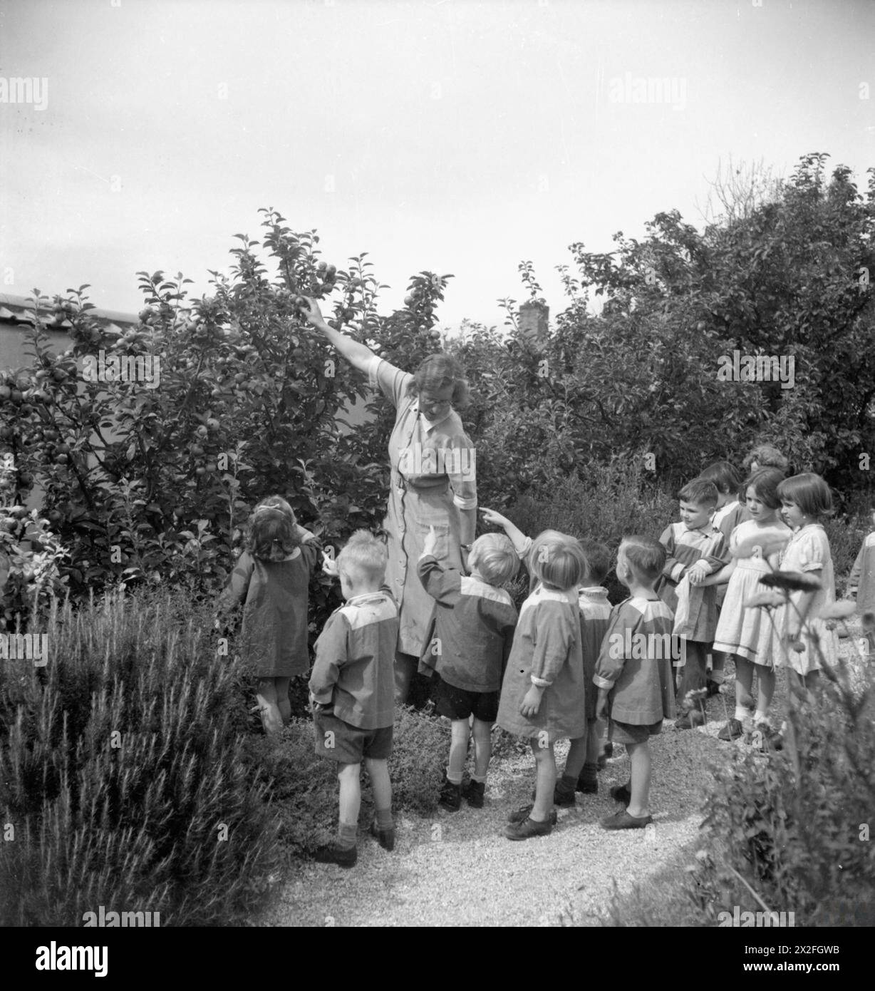 Children at Tarner Land Nursery School in Brighton, England, select ...