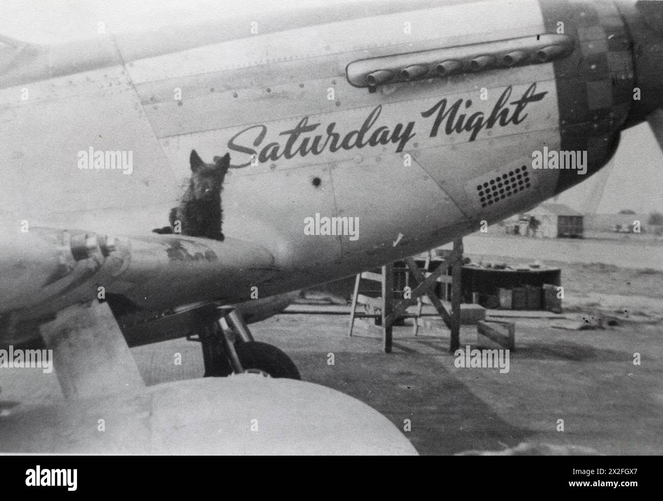 The Scottie dog mascot 'Lassie II' is shown on the wing of a P-51 ...