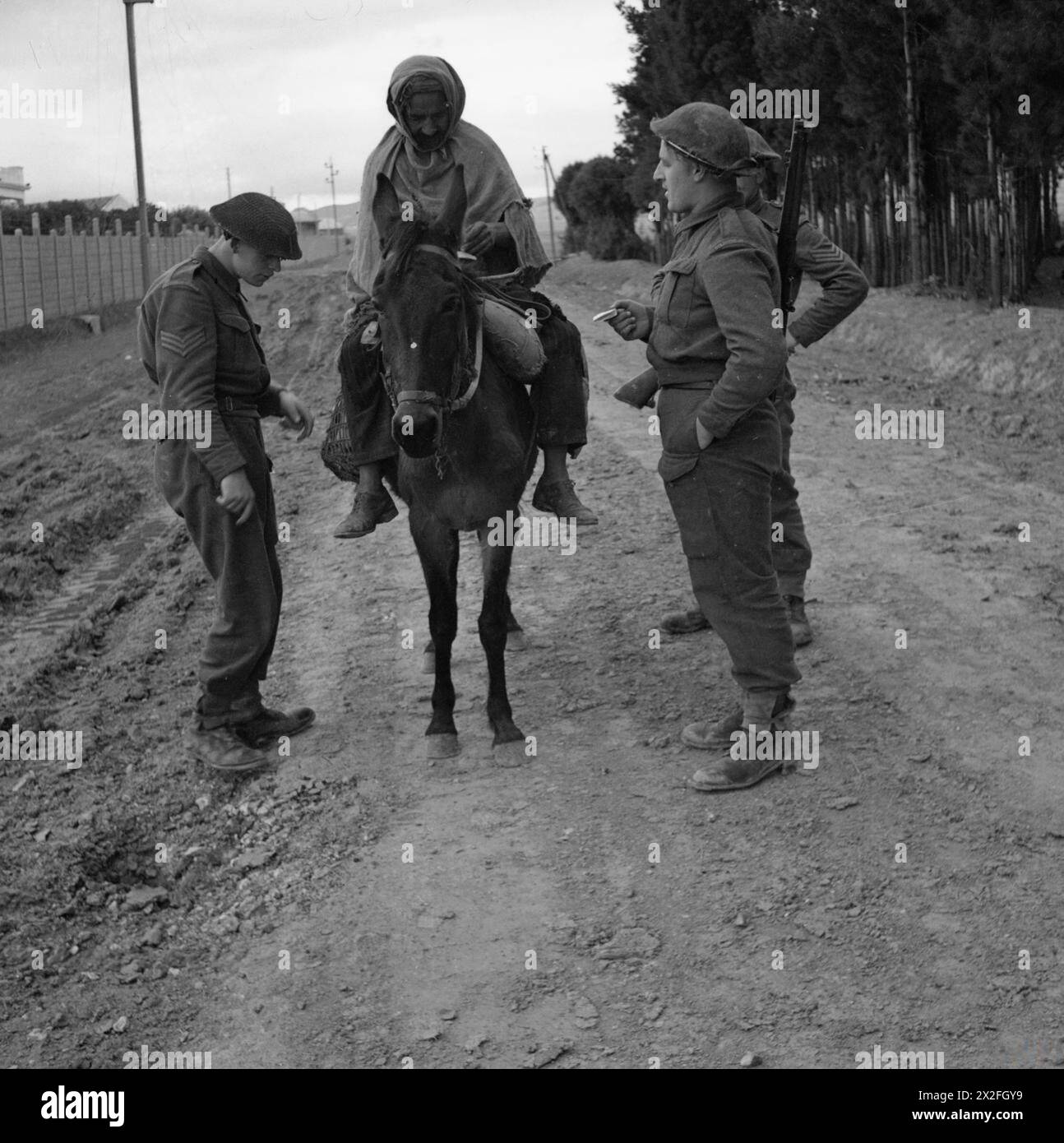 On 25 December 1942, Coldstream Guards questioned an Arab who had ...