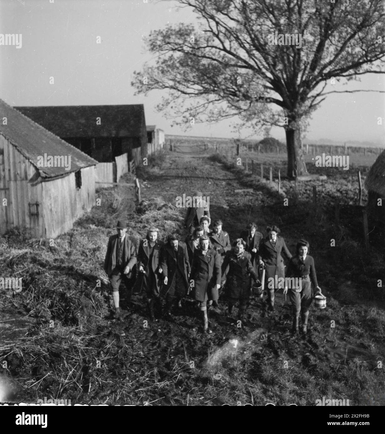 ARREST THAT RAT: THE WORK OF THE WOMEN'S LAND ARMY RAT CATCHERS, SUSSEX ...