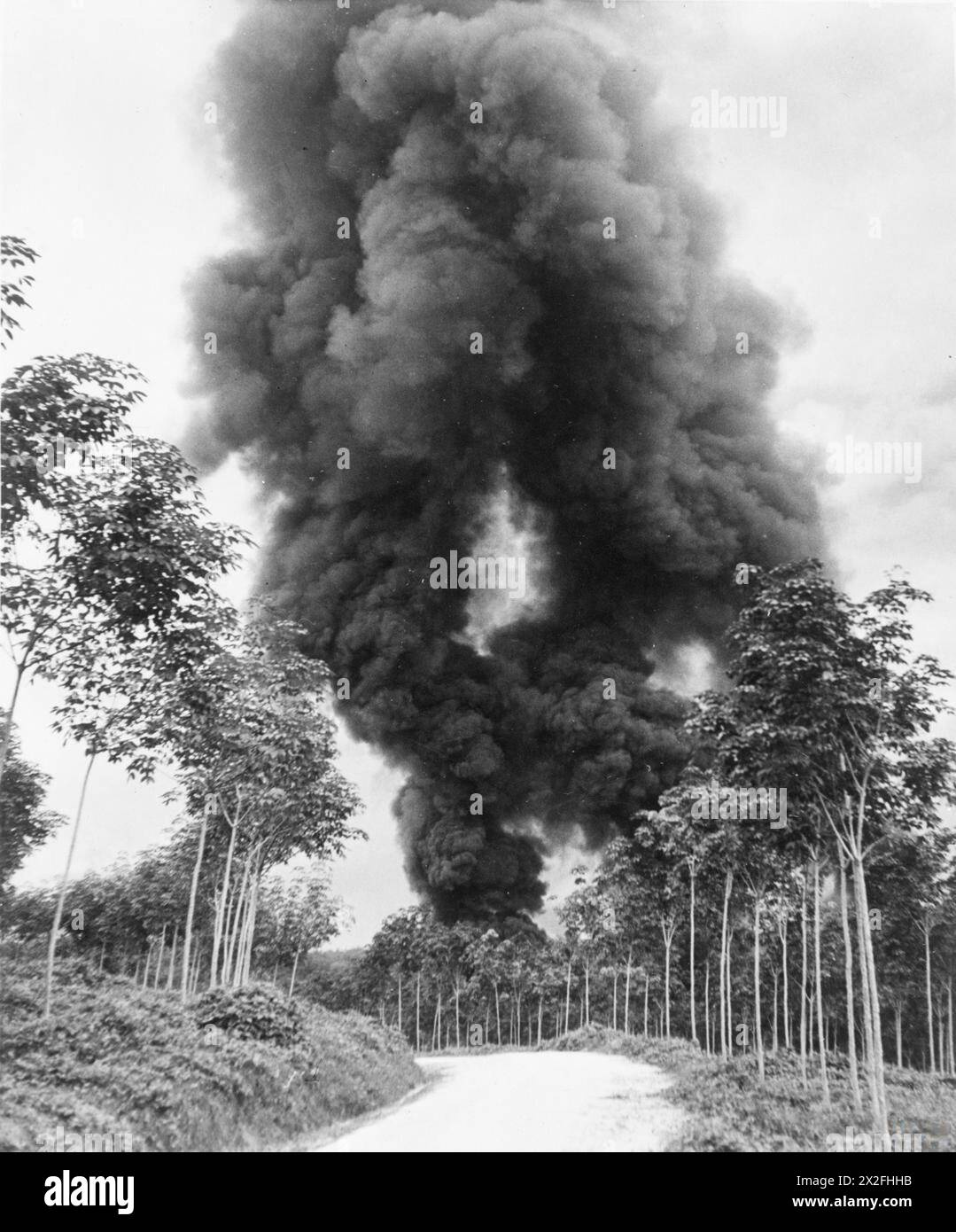 THE FAR EAST: SINGAPORE, MALAYA AND HONG KONG 1939-1945 - The Japanese ...
