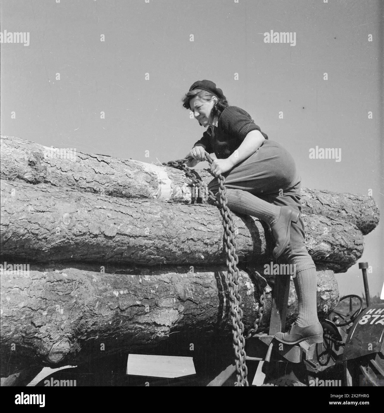 A recruit fastens chains around tree trunks on a wagon at the Women's ...