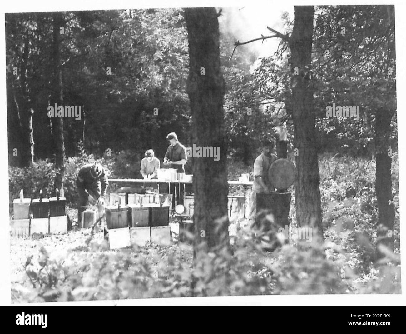 ROUNDING UP ENEMY PARACHUTISTS - The cookhouse quietly hidden in the ...