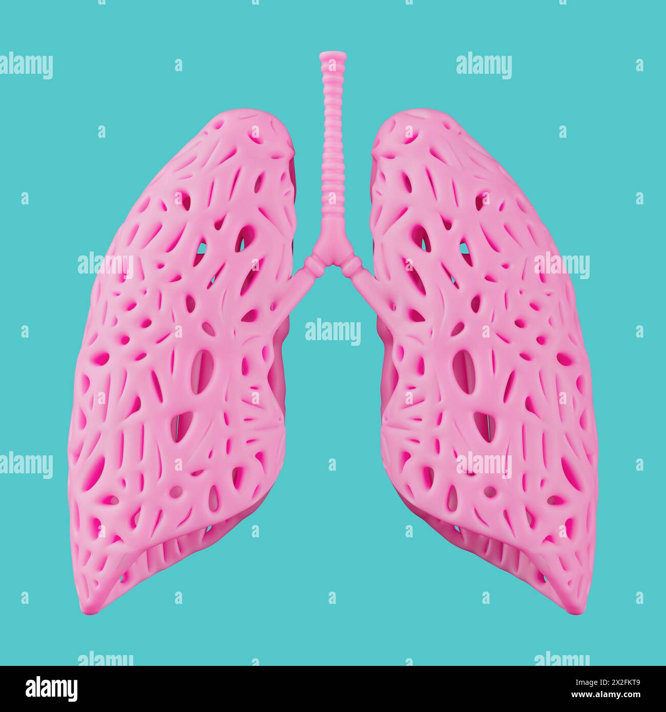Pink Abstract Lungs Organ Model in Duotone Style on a blue background ...