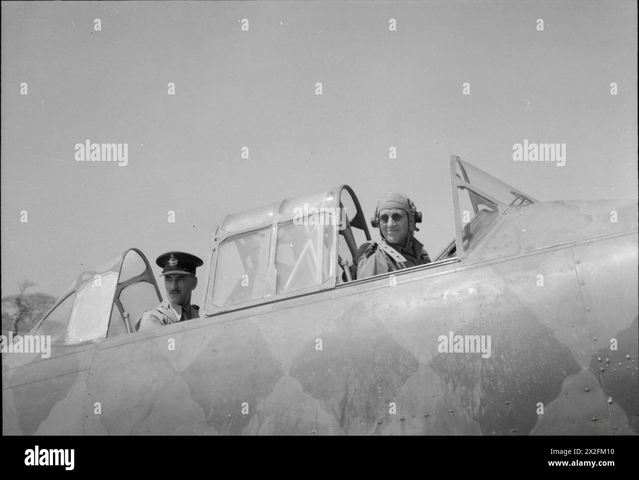 The fly vincent hi-res stock photography and images - Alamy