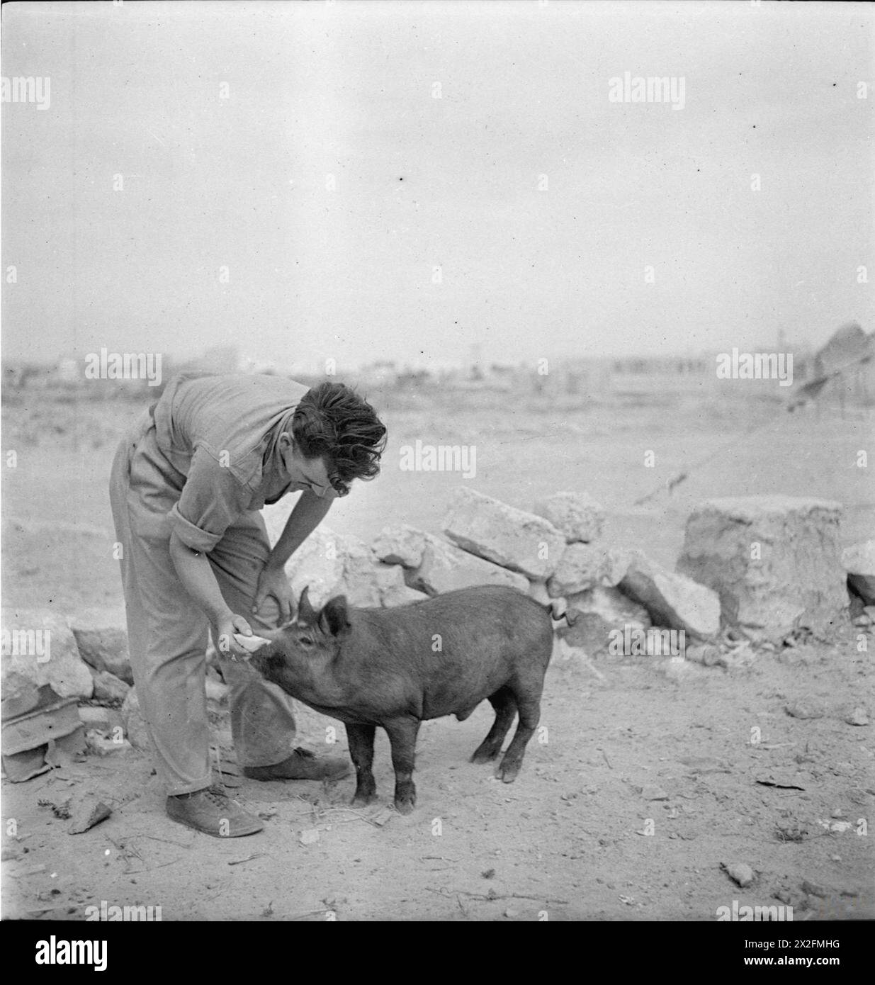 Cecil Beaton photographs British military and civilian life in the ...