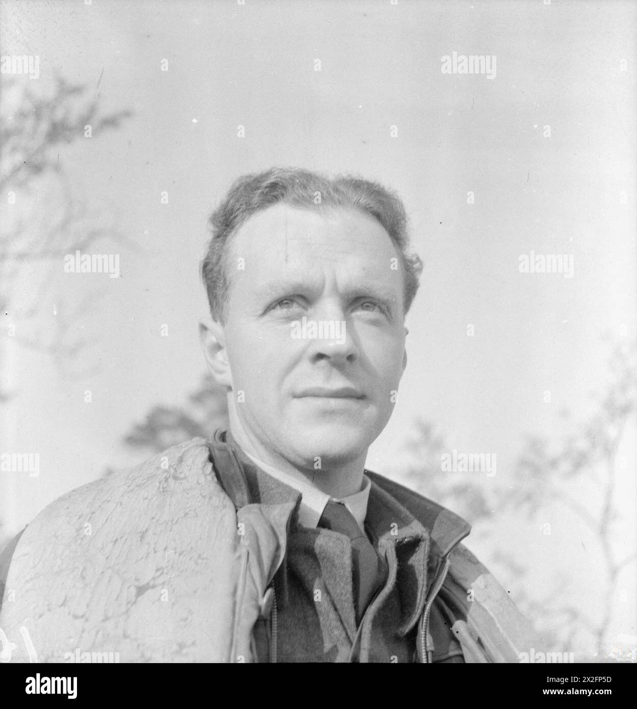 F wing hi-res stock photography and images - Alamy