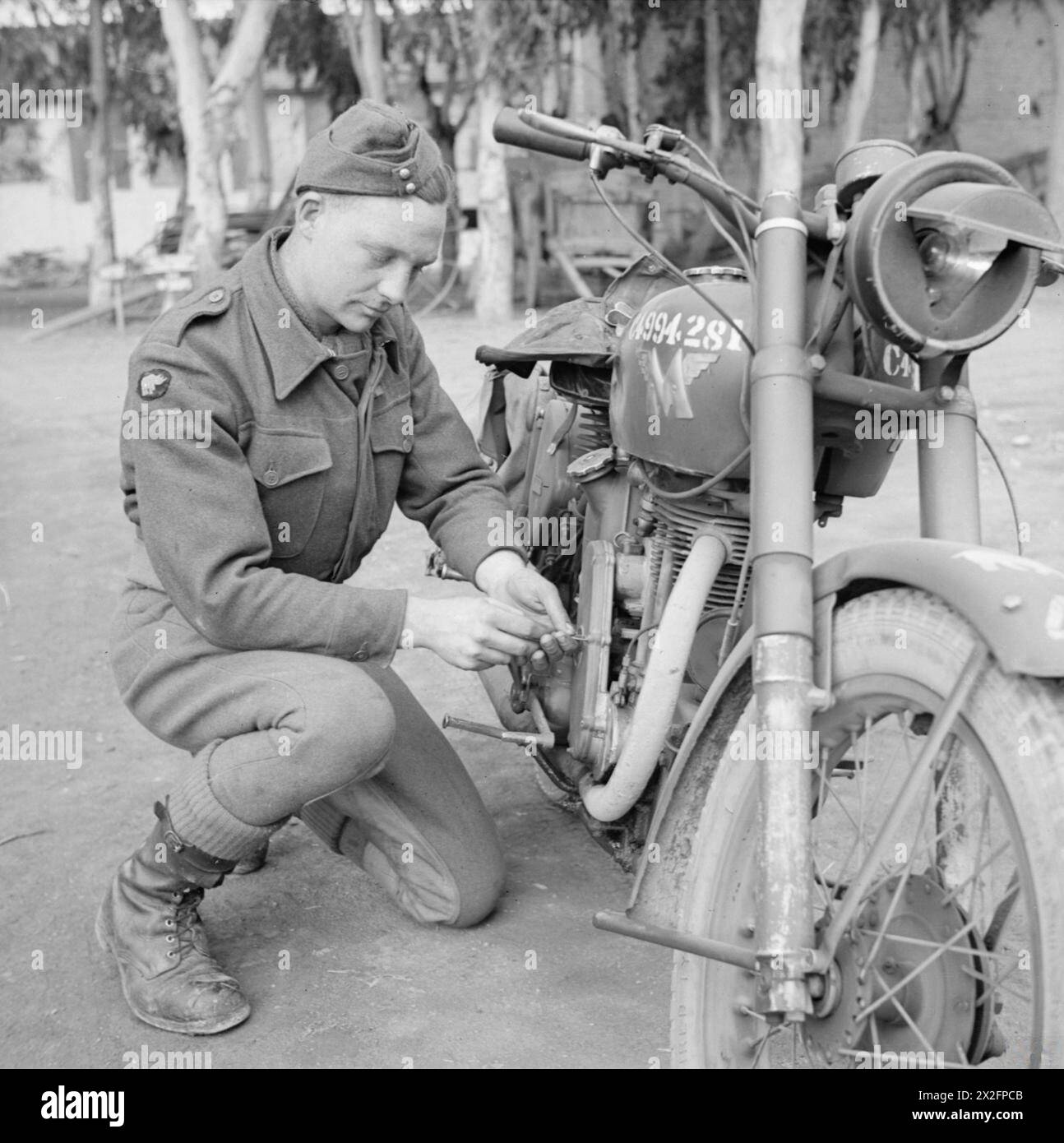 THE BRITISH ARMY IN NORTH AFRICA 1944 - Driver A Beagle, an RASC ...