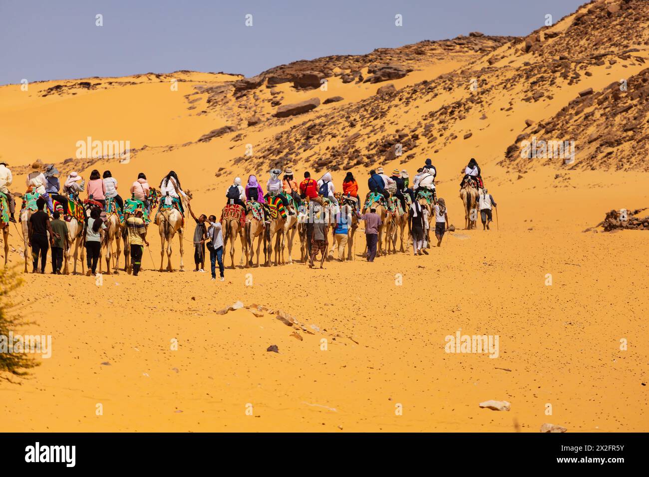 Tourists take a camel train ride through the Sahara desert, on the banks of the River Nile ...