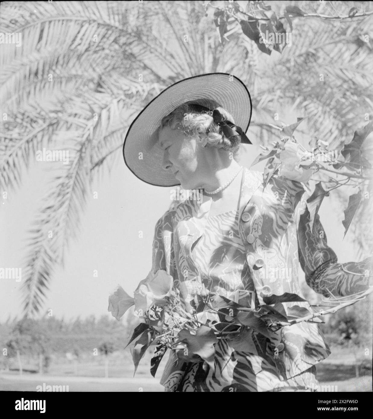 Richard casey hi-res stock photography and images - Alamy