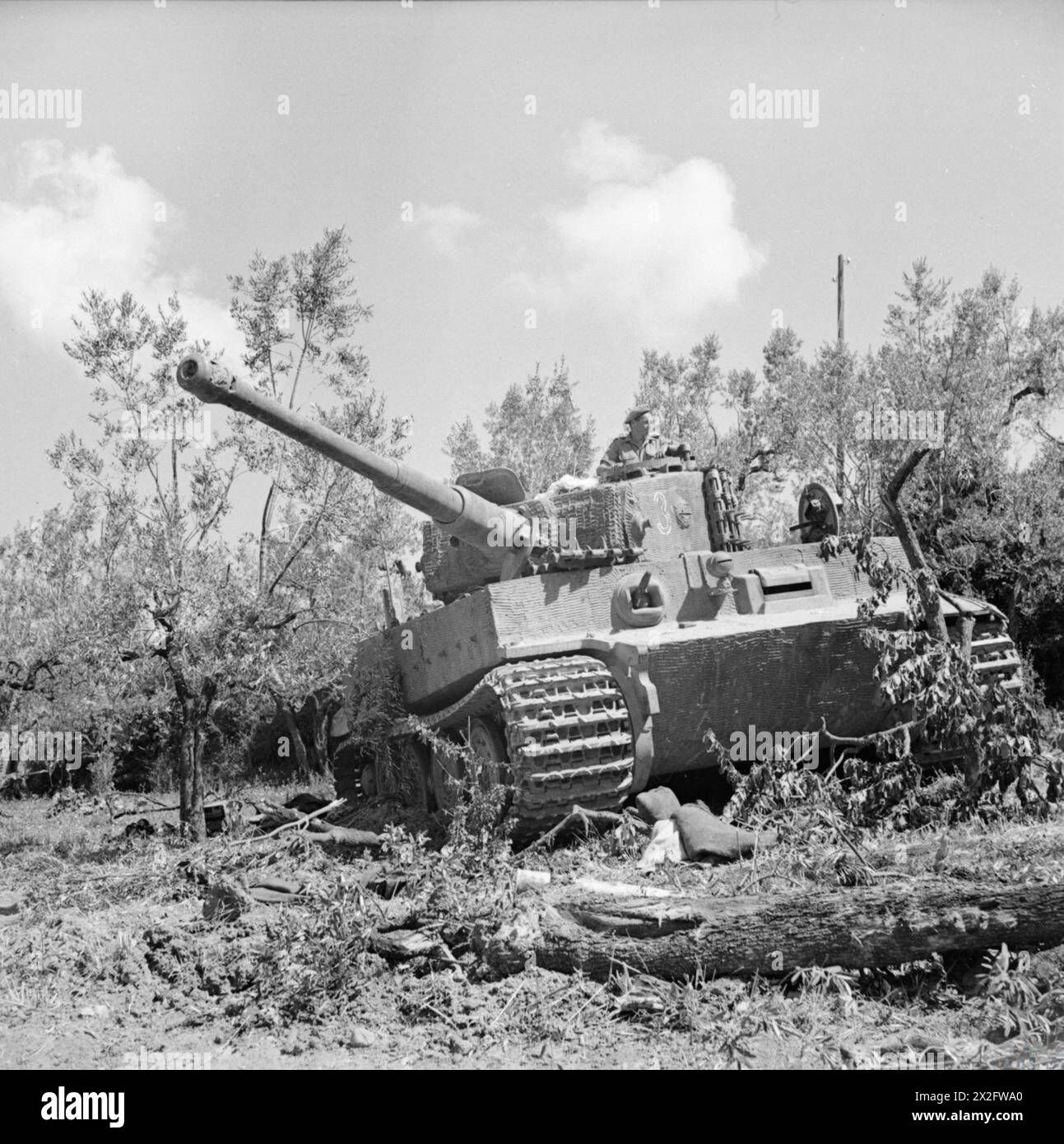 THE CAMPAIGN IN ITALY 1944 - German Tiger tank captured intact by 22nd ...