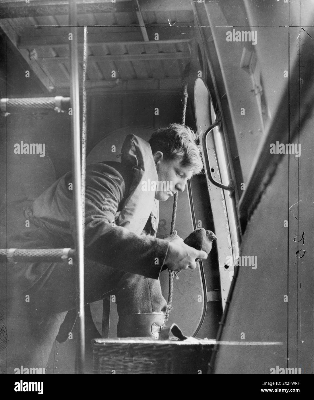 ROYAL AIR FORCE COASTAL COMMAND, 1939-1945. - An aircrew sergeant of No ...