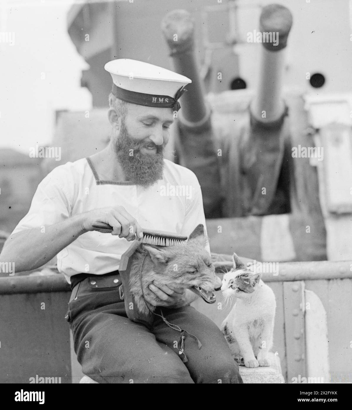 "TORPS" INSPECTS HER RIVAL. 12 OCTOBER 1943, TARANTO. "TORPS" (SHORT ...