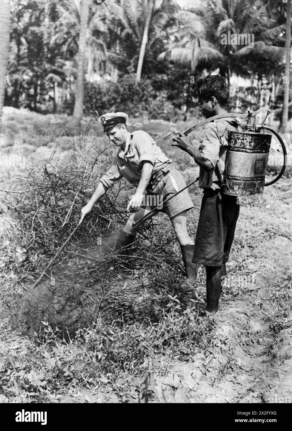 Ddt, malaria hi-res stock photography and images - Alamy