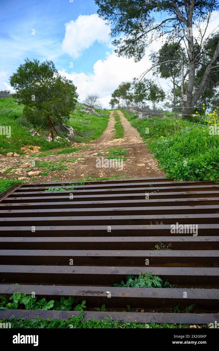 Cattle grid on a rural path Photographed at Givat Hamore, Jezreel ...