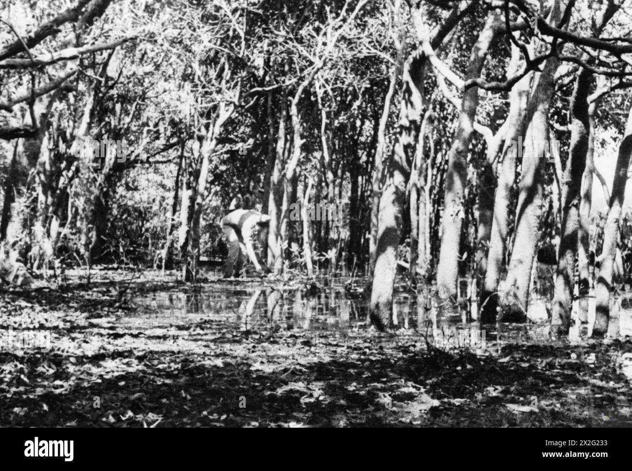 Malaria survey and control units hi-res stock photography and images ...