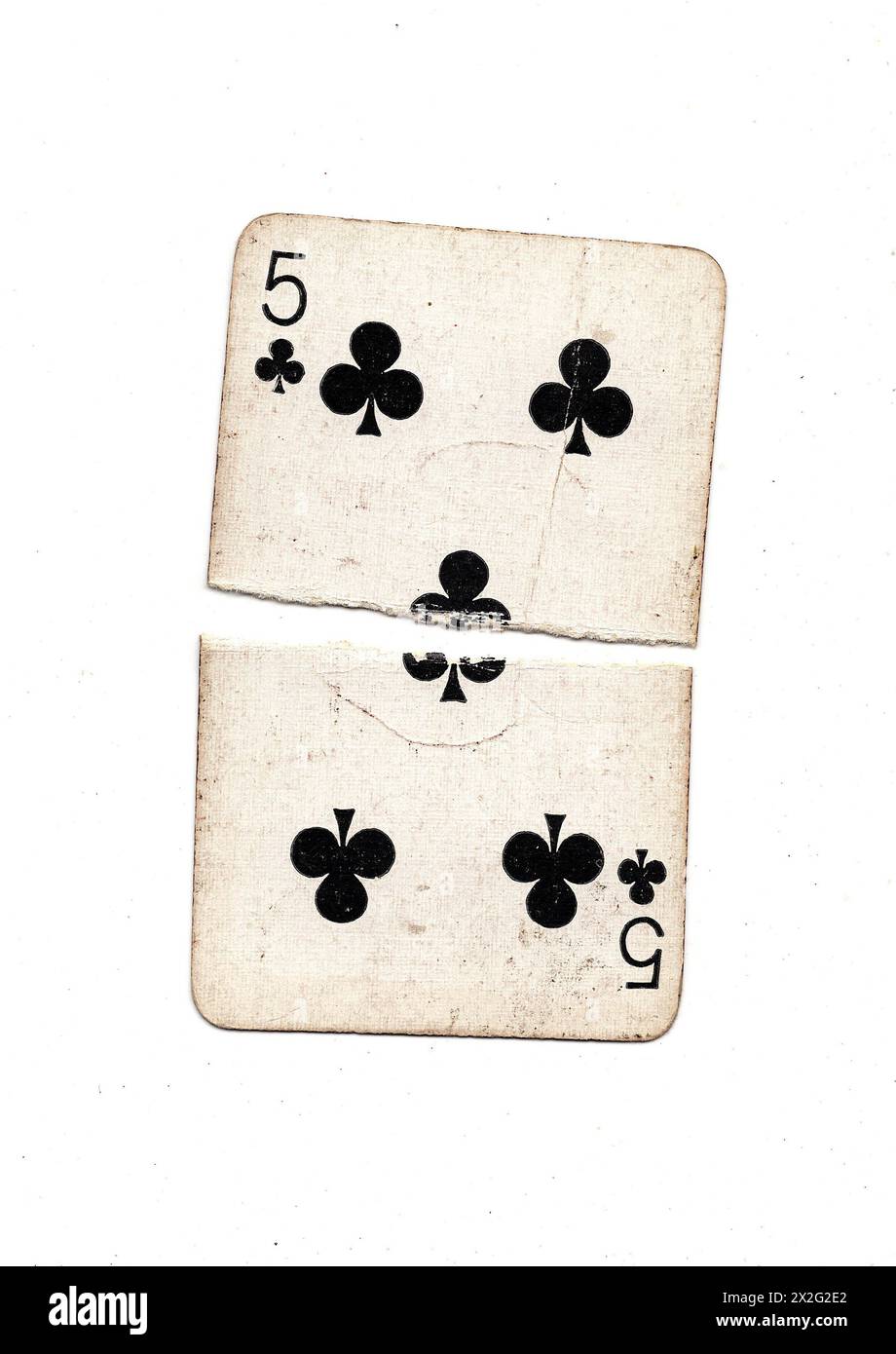 A vintage, well used five of clubs playing card torn in half on a white ...