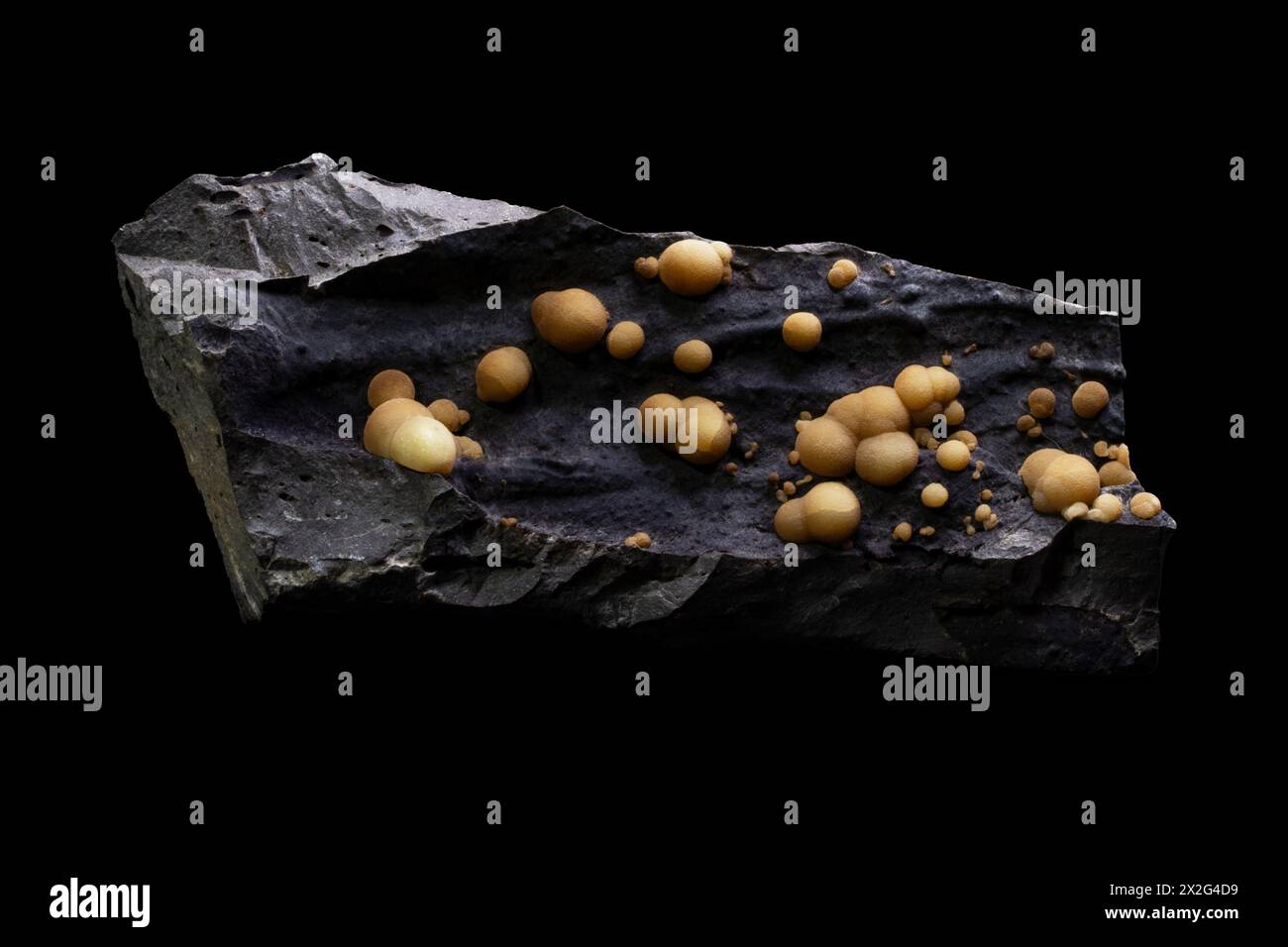 Exquisite natural specimen hi-res stock photography and images - Alamy