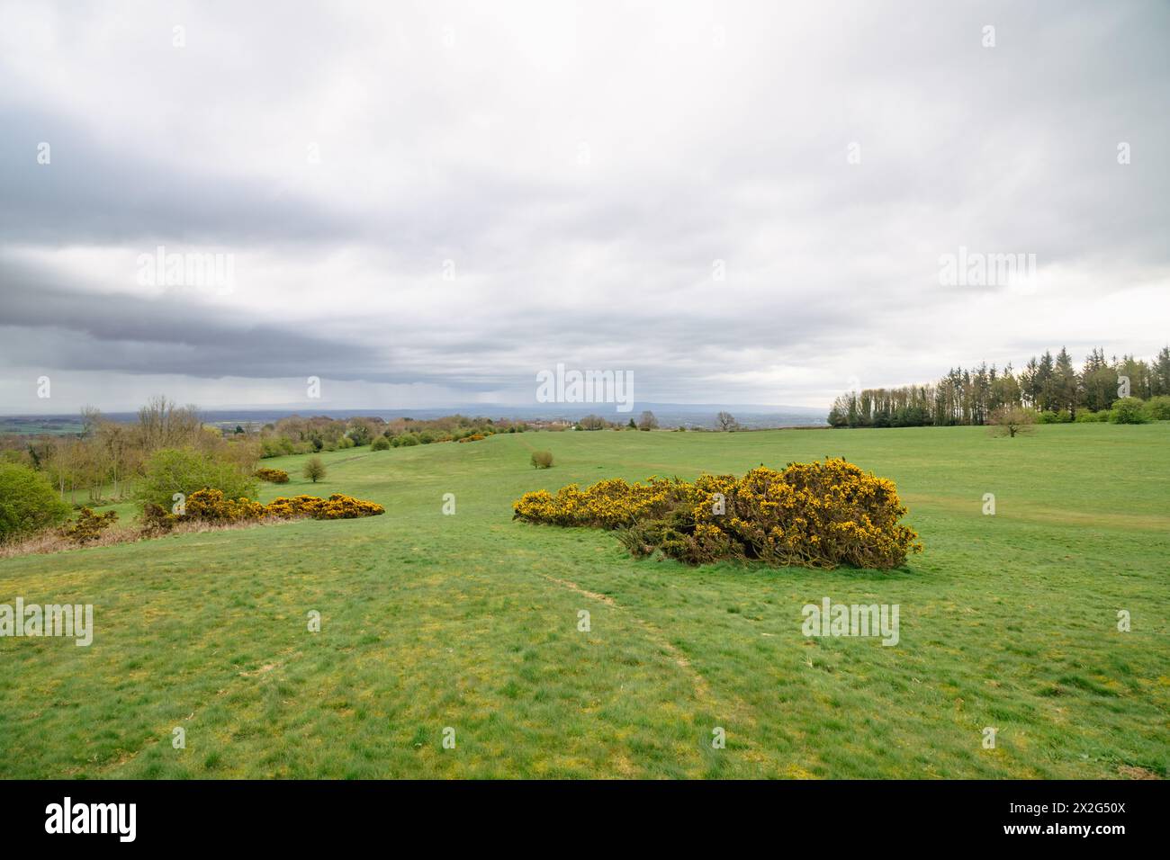 The old race course at Richmond, North Yorkshire Stock Photo - Alamy