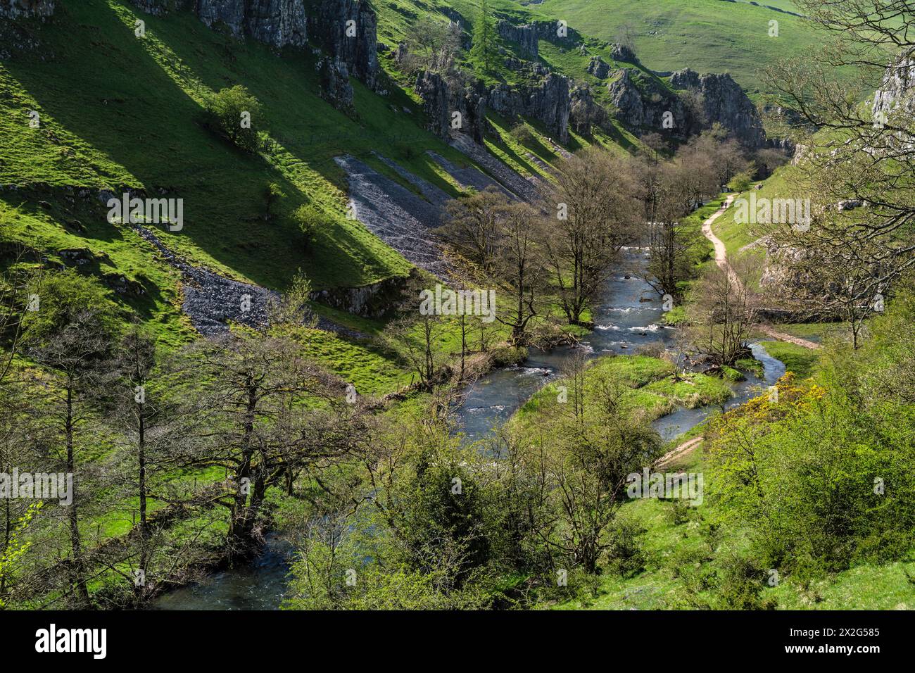 Spring in Wolfscote Dale, Peak District National Park, Derbyshire Stock ...