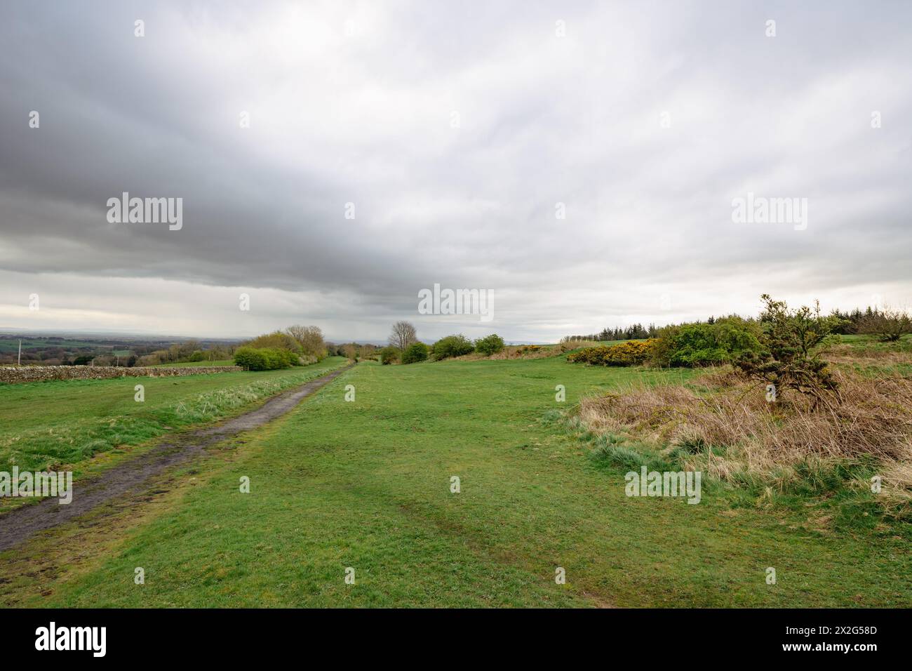 Old race course hi-res stock photography and images - Alamy